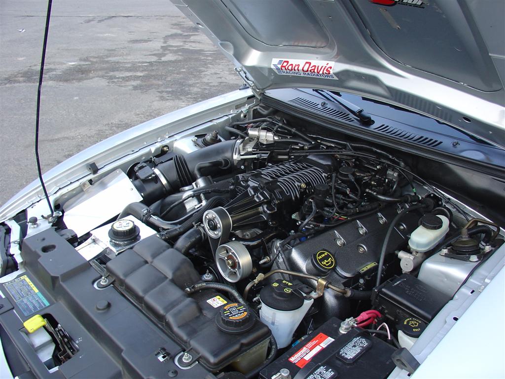 POST engine bay pics please! | SVTPerformance.com