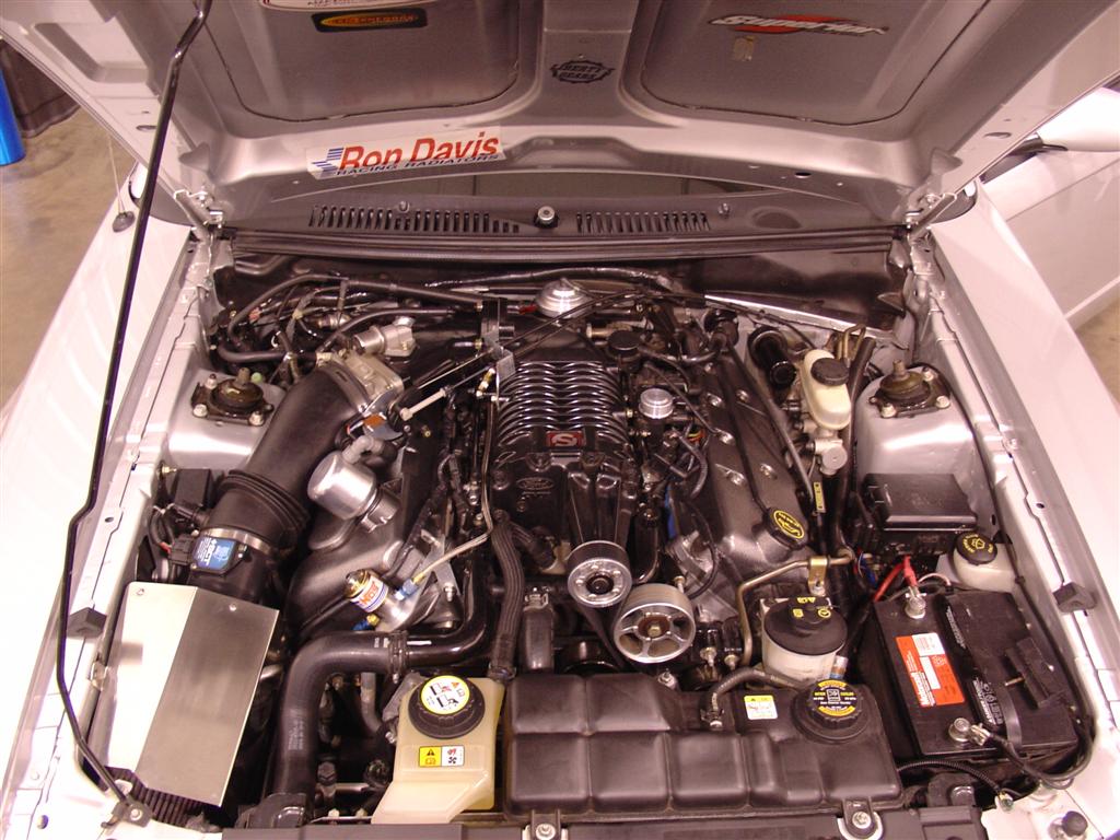 Best way to paint the eaton | SVTPerformance.com